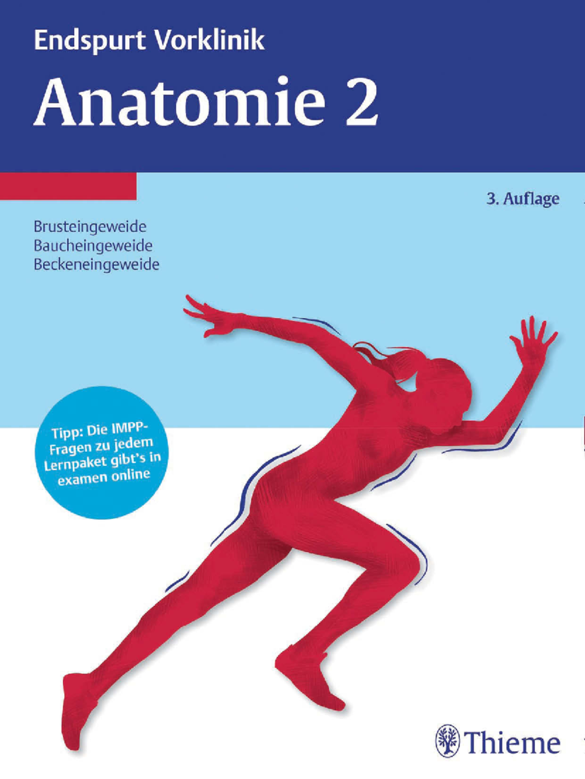 Anatomie 2. Endspurt Vorklinik - Endspurt Vorklinik Anatomie 2 3 ...