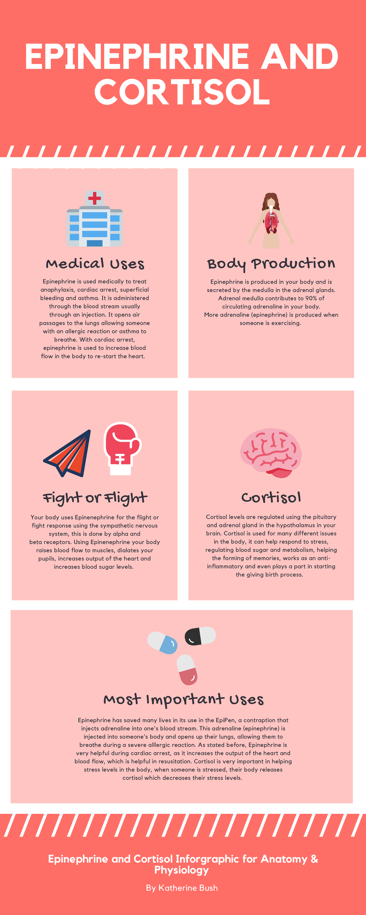 Hormone infographics - Most Important Uses Epinephrine has saved many ...