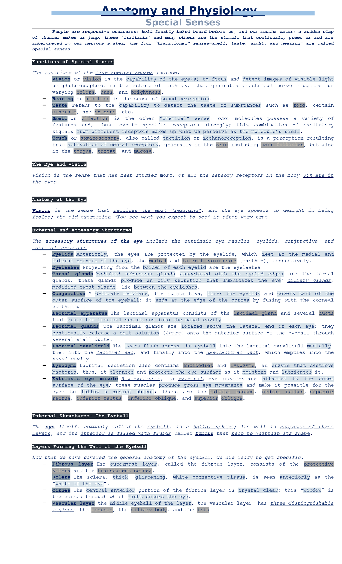 Anatomy and Physiology Reviewer - Anatomy and Physiology Special Senses ...