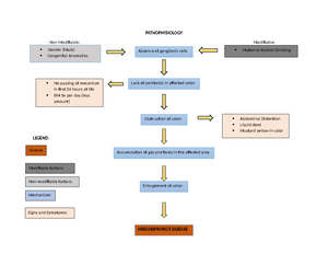 NF-Elephant Rider-v3 full - The Elephant Make the change feel real ...