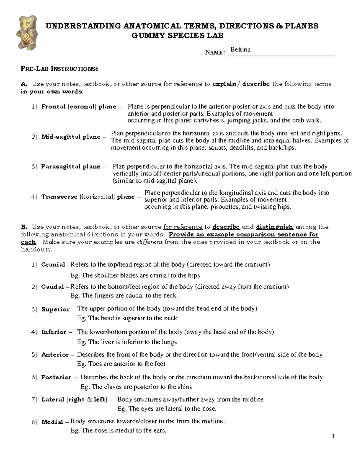 Gummy Species Lab - 1 UNDERSTANDING ANATOMICAL TERMS, DIRECTIONS ...