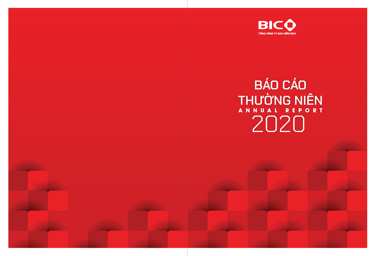 BAO CAO Thuong NIEN 2020 BIC TV - BÁO CÁO THƯỜNG NIÊN BÁO CÁO THƯỜNG ...
