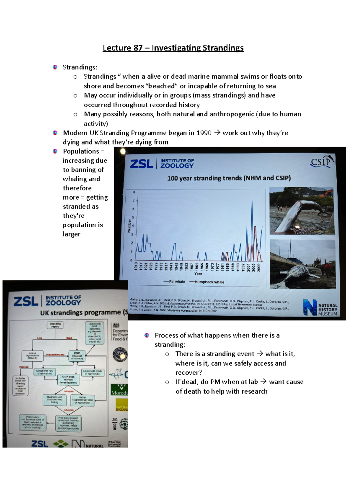 Lecture 87 – Investigating Strandings - Lecture 87 – Investigating Strandings Strandings: o ...