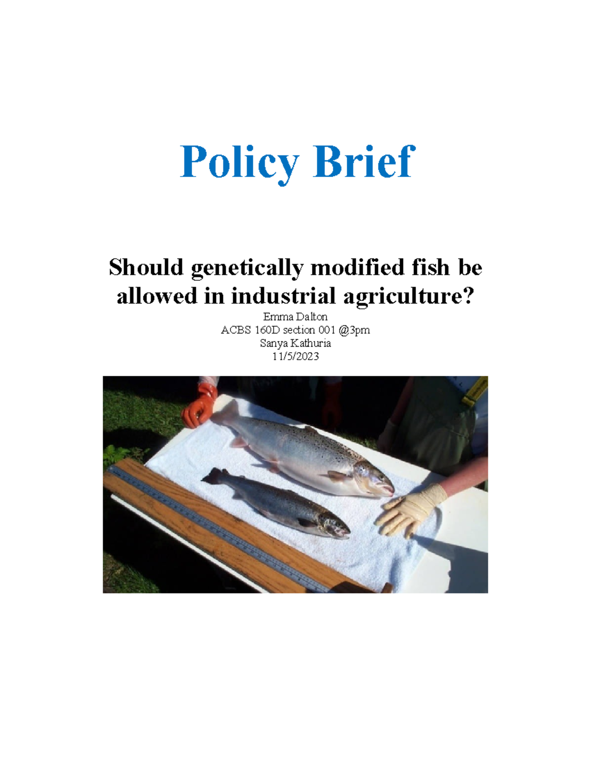 GM Fish Policy Brief - Policy Brief Should genetically modified fish be ...