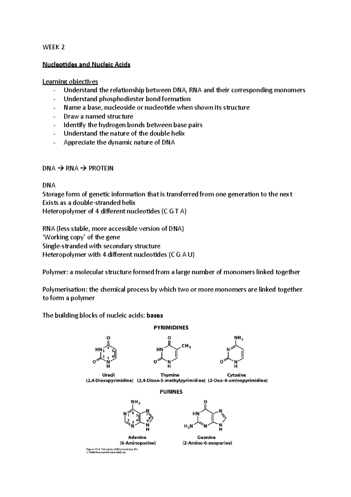 WEEK 2 biochemistry 2020 - Bioc0001 - UCL - Studocu