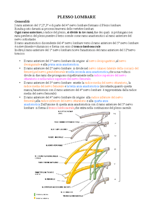 Organi cavi e pieni e regioni del corpo; termini anatomici - 1 LEZIONE ...