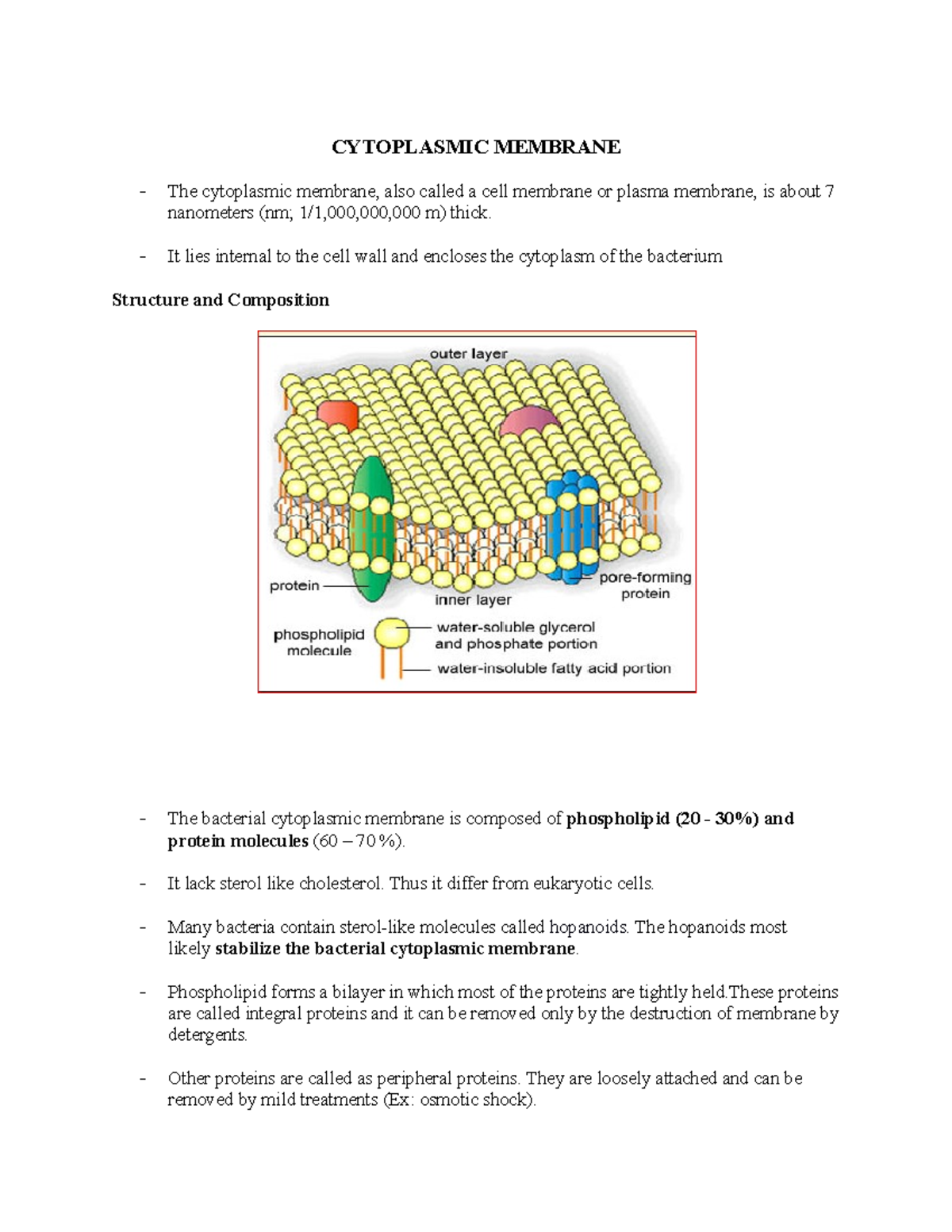 Cytoplasmic Membrane - Its a lecture note - CYTOPLASMIC MEMBRANE The ...