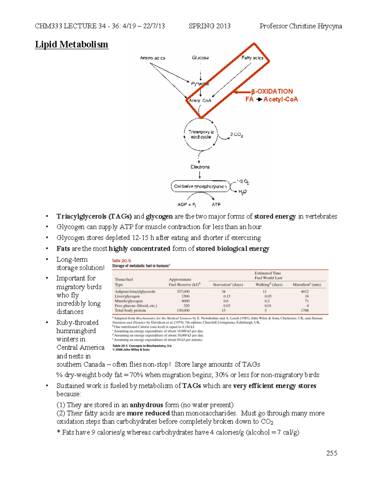 Spring 2013 Lecture 34-36 - Lipid Metabolism Triacylglycerols (TAGs ...