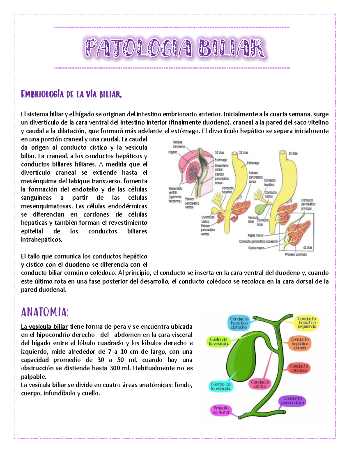 Patologgia Biliar - Resumen - ####### Embriología de la vía biliar. El ...
