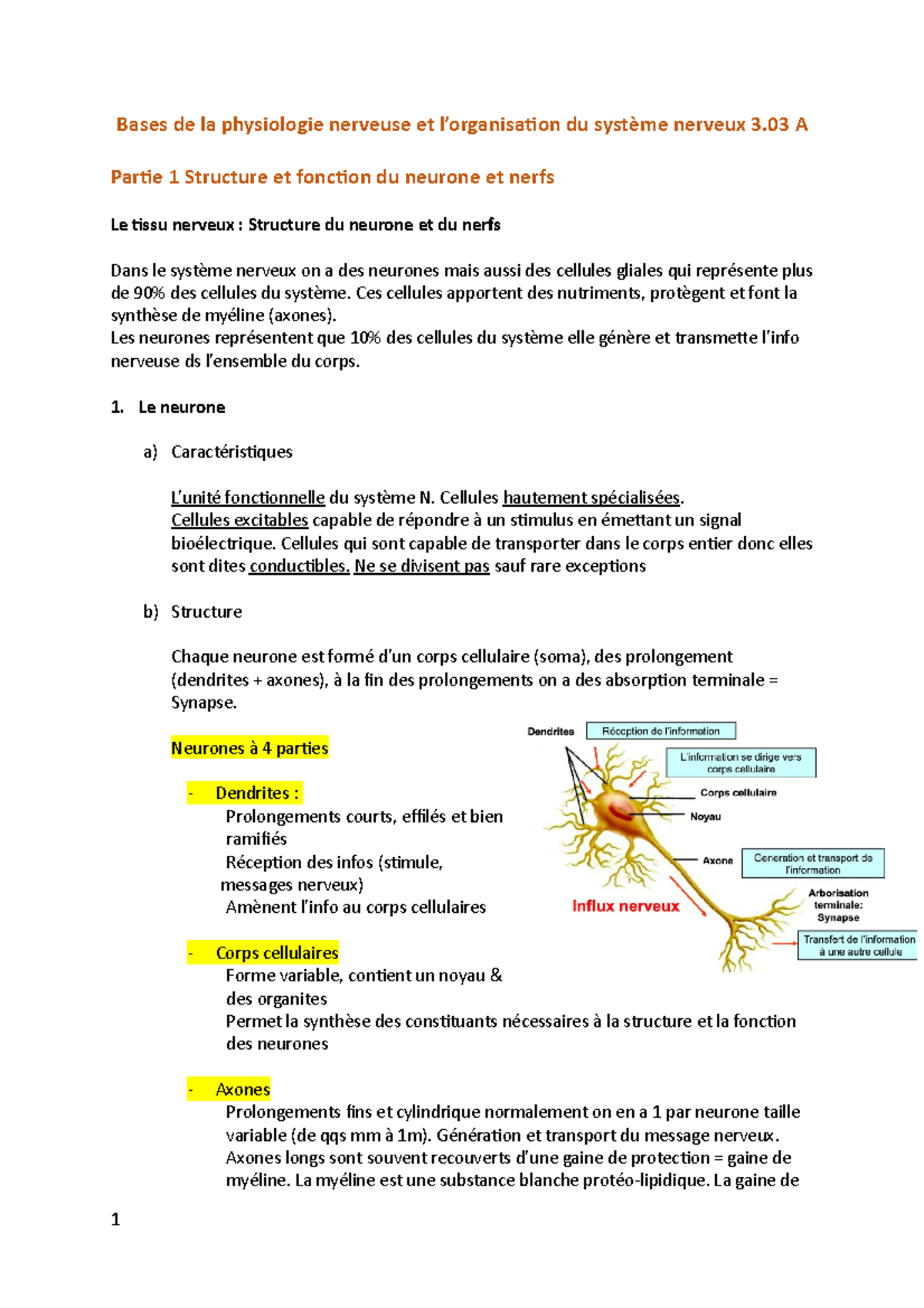 Résumé physiologie nerveuse 3.03A Djelthi Fatiha - Bases de la physiologie nerveuse et - Studocu