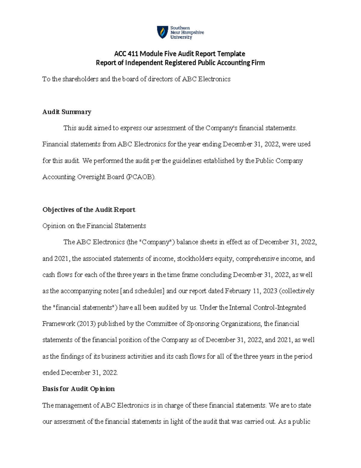 ACC 411 Module Five Audit Report Template - ACC 411 Module Five Audit ...
