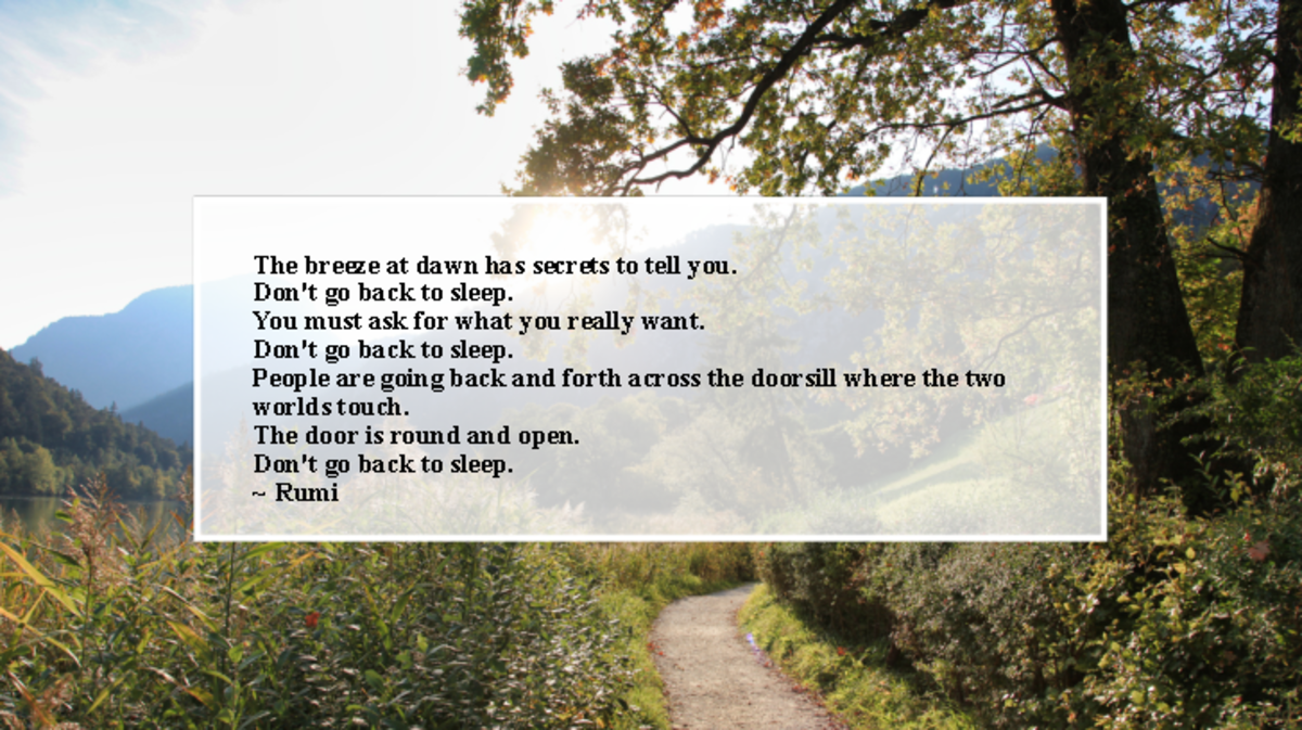 Adulthood - Professor Molly Countermine - The breeze at dawn has ...