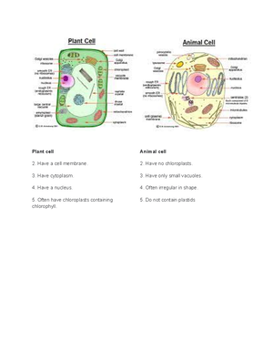 Concept map #6 1 - Wesley College, Foundations of Nursing NR 214 ...