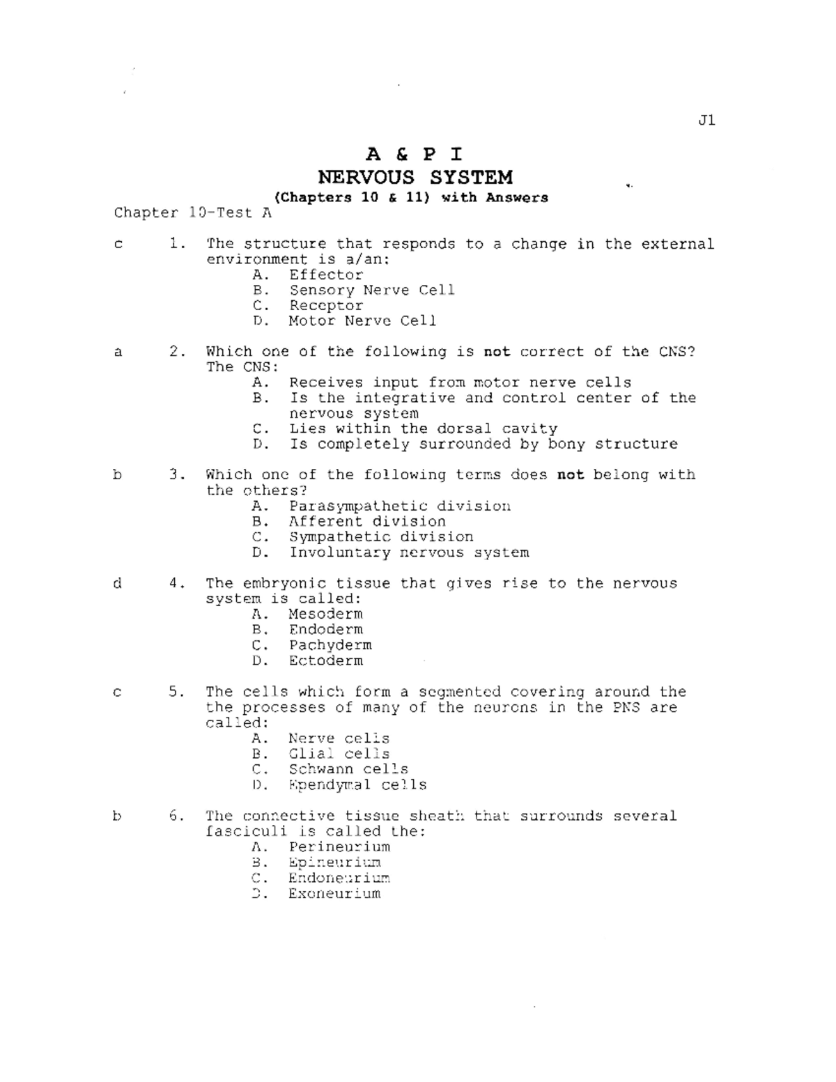 API Nervous System Tutorial - J1 A P I NERVOUS SYSTEM (Chapters 10 11 ...