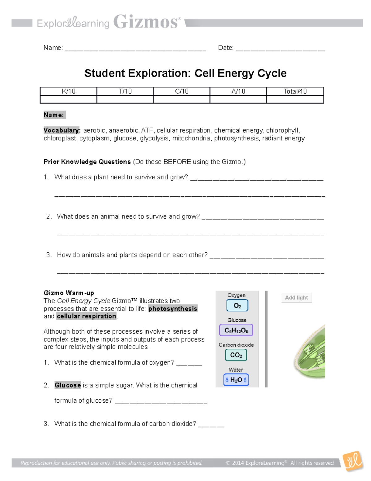 Cell Energy SE - high school - Name ...