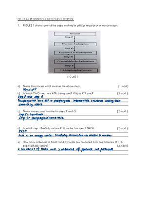 Prelab EXP 5 Biology - Experiment 5, Pre Laboratory Practical - SB015 ...