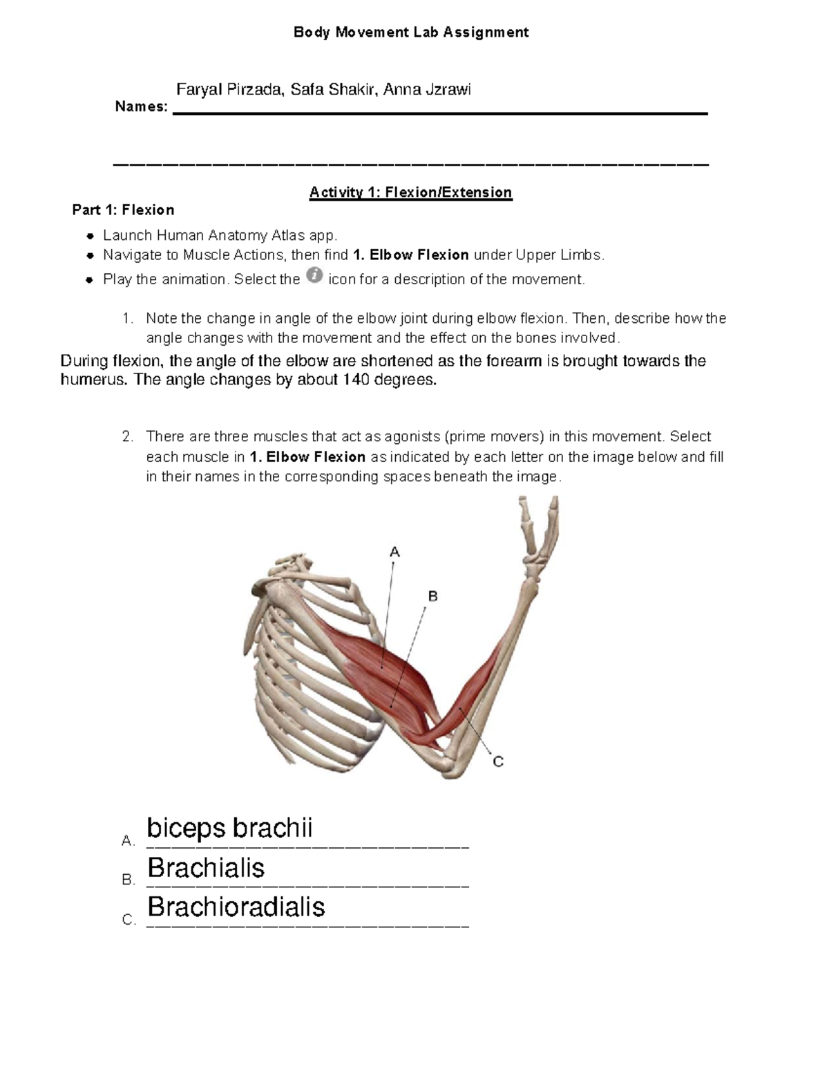 Body motion lab F21a final - Body Movement Lab Assignment Names: - Studocu