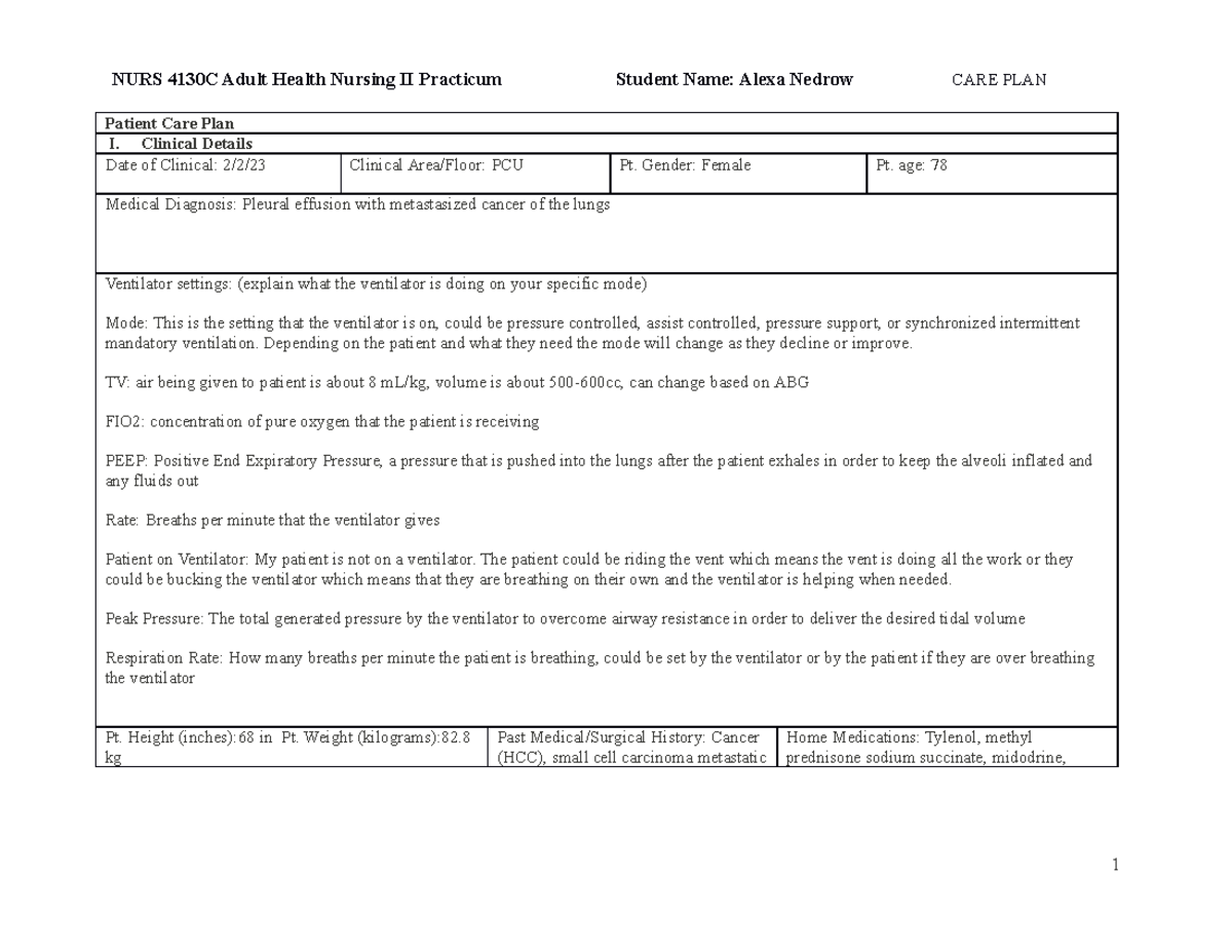 Adult Health 2 Care Plan - Patient Care Plan I. Clinical Details Date ...