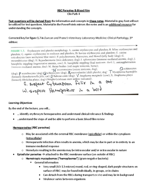 Organ Path - Nervous System 2 - Introduction to Pathobiology III (VM ...