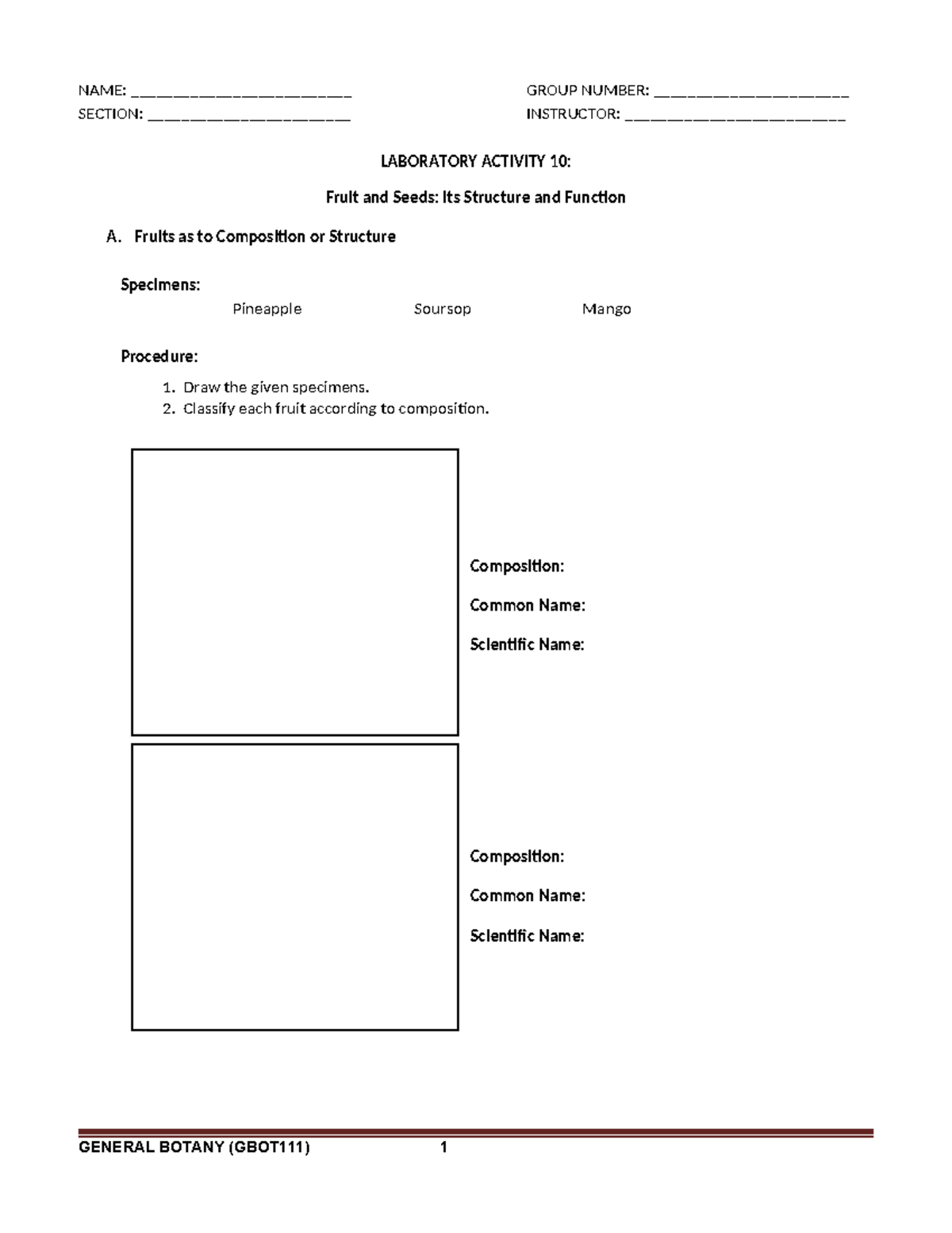 Fruits and Seeds - Activity - NAME: __________________________ GROUP ...