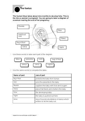 EXAM Revision UNIT 1+ 2 Biology - EXAM REVISION UNIT 1+ 2 BIOLOGY ...