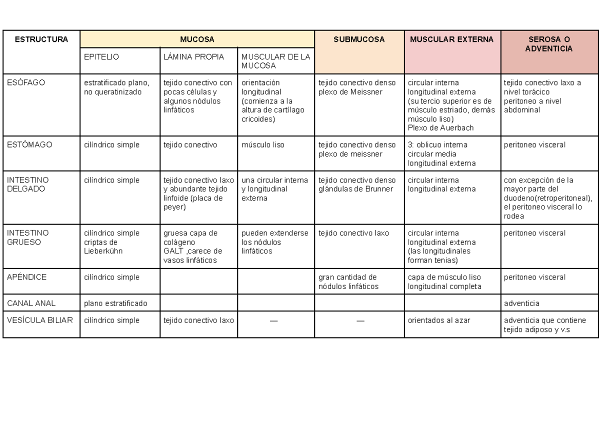 Aparato digestivo histología - ESTRUCTURA MUCOSA SUBMUCOSA MUSCULAR ...