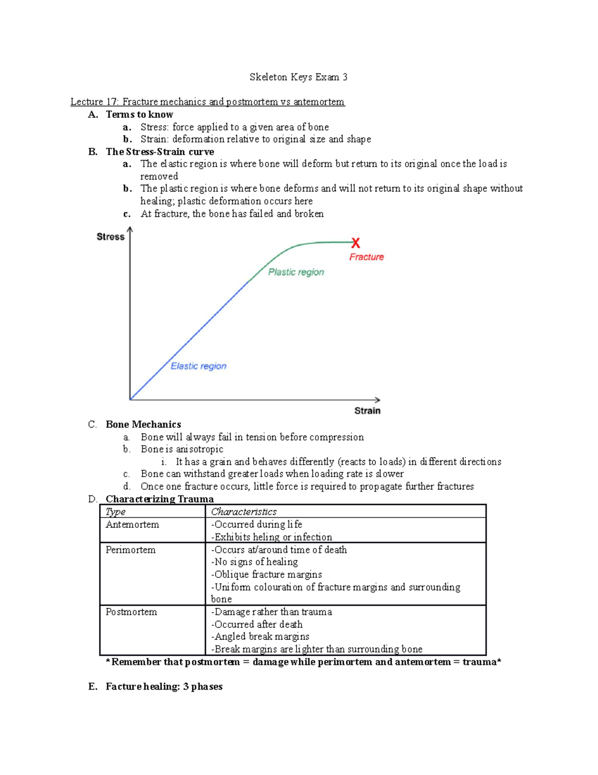 Skeleton Keys Exam 3 Lecture Notes And Textbook Notes Skeleton Keys Exam 3 Lecture 17