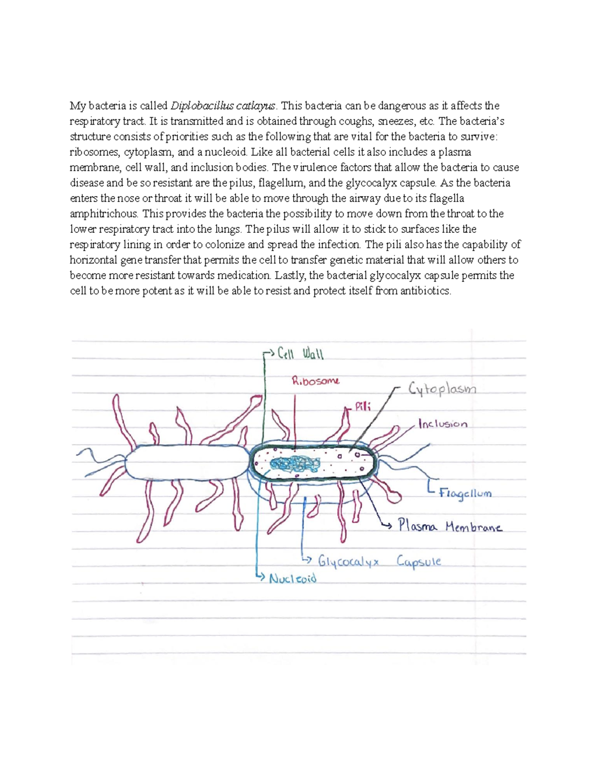 Baddest bug - My bacteria is called Diplobacillus catlayus. This ...
