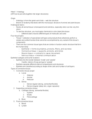 Unit 3 region 7 2 - peritoneum and lower limb - 3 categories in pelvic ...