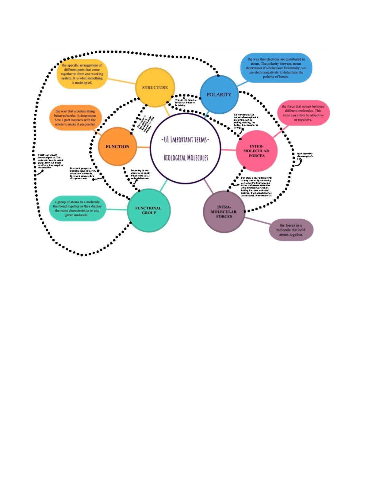 Biology u1 mind map - Bio notes - The function of something is ...