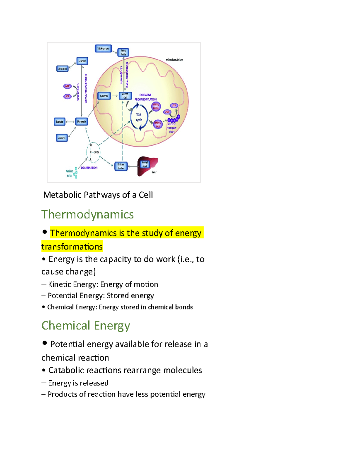 Energy - in General Bio it help. - Metabolic Pathways of a Cell ...