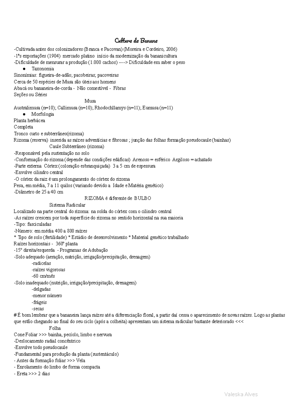 Cultura da Banana - Rizoma com broto pegamento com o broto 6. do gema ...