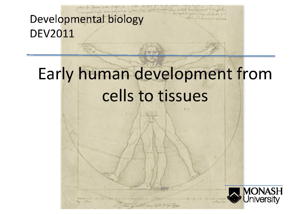 DEV2011 2022 Lecture 1 Introduction Combined - Developmental biology ...