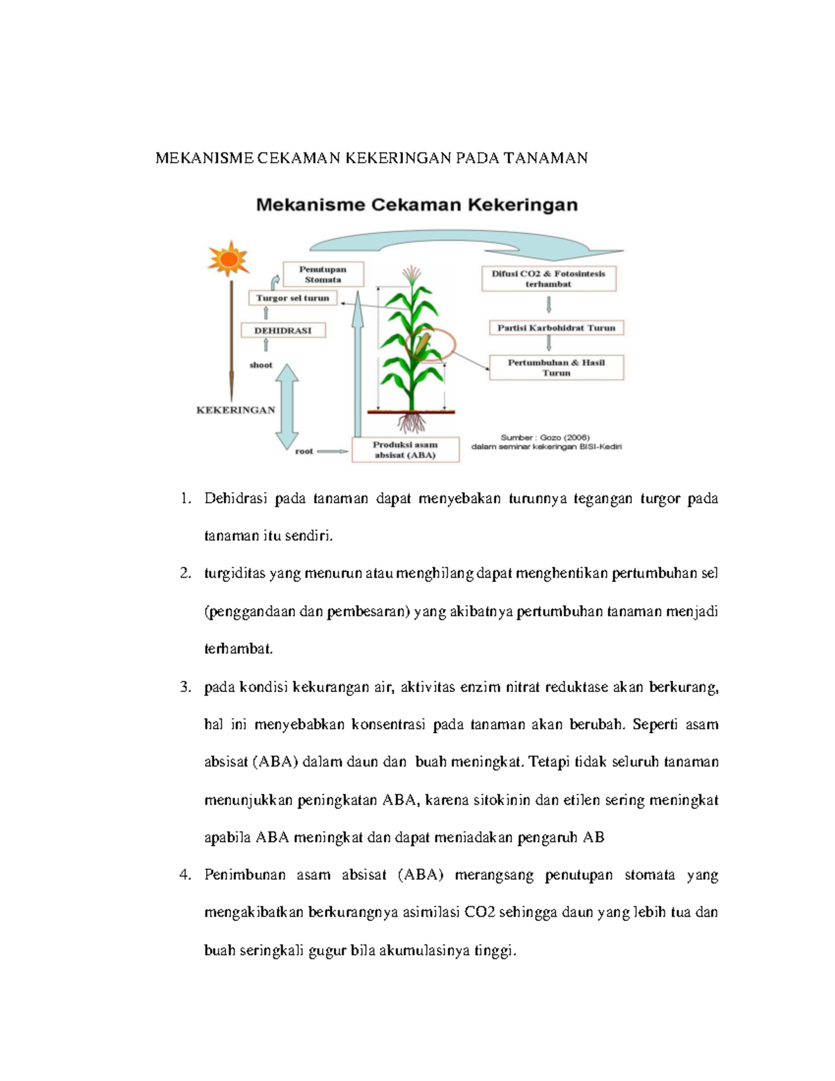 Mekanisme cekaman kekeringan pada tanaman - MEKANISME CEKAMAN ...