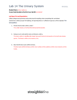 BIO250 Lab 3 Completed - MICROBIOLOGY COMPLETE LAB 3 WORK - Student ...