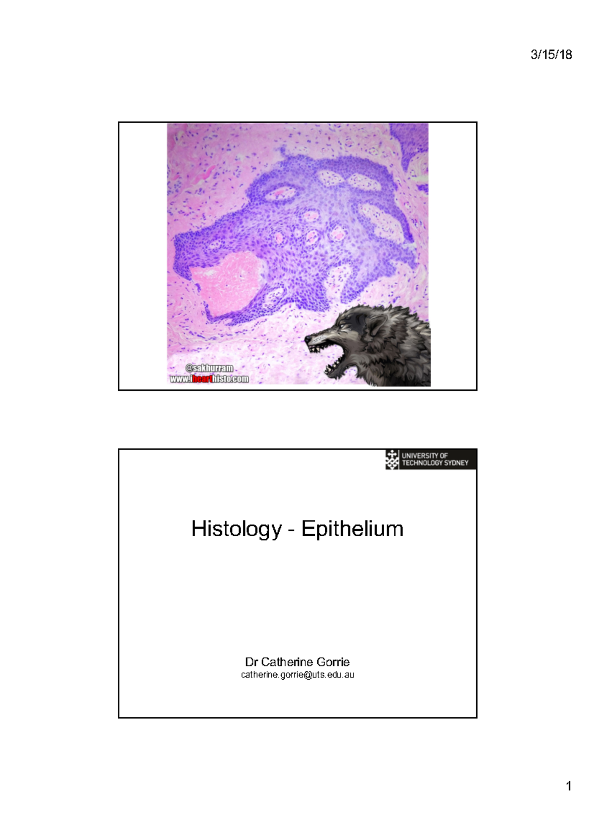 Histology lect 1 part 2 - Lecture notes ...... - Histology - Epithelium ...