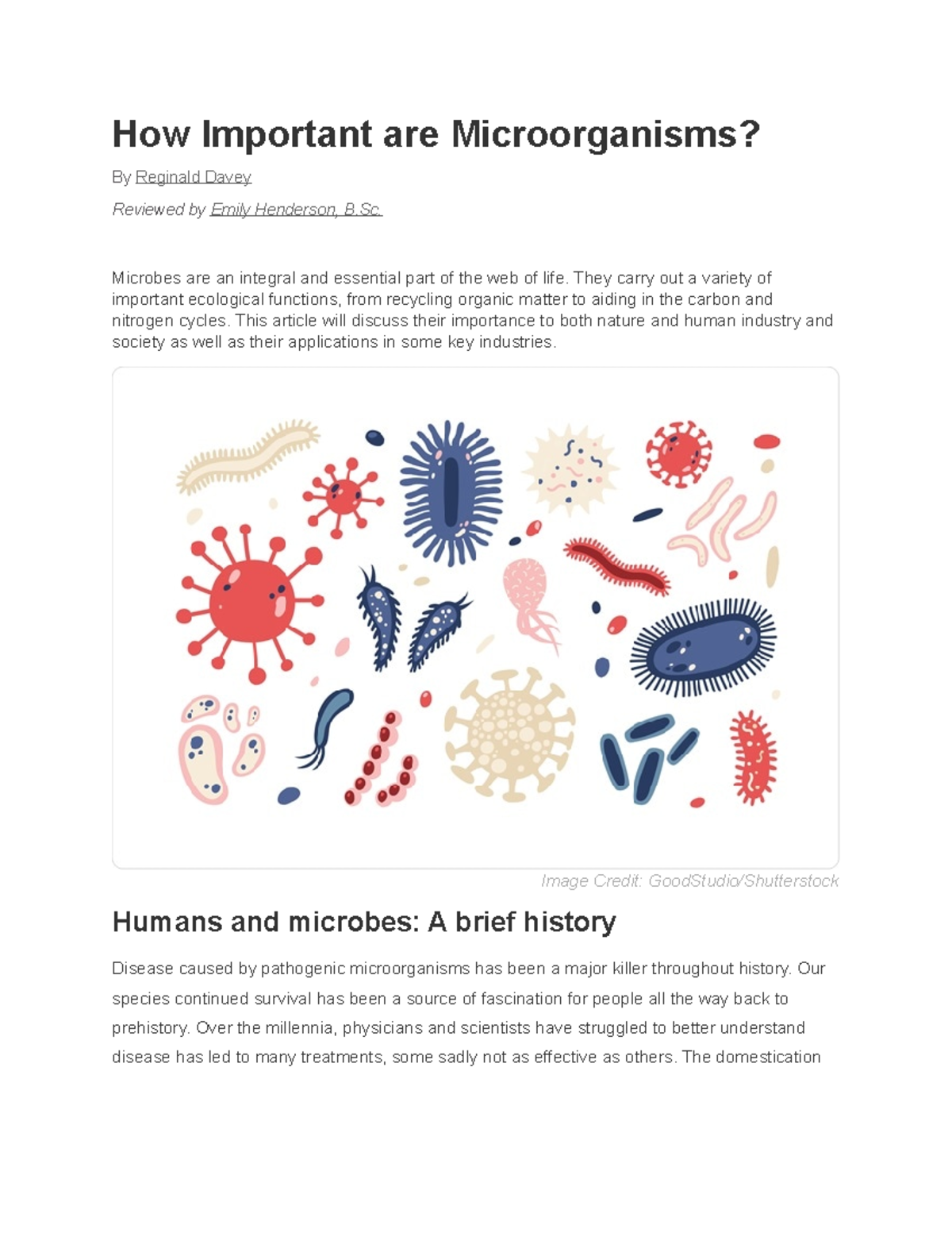 How Important are Microorganisms - Microbes are an integral and ...