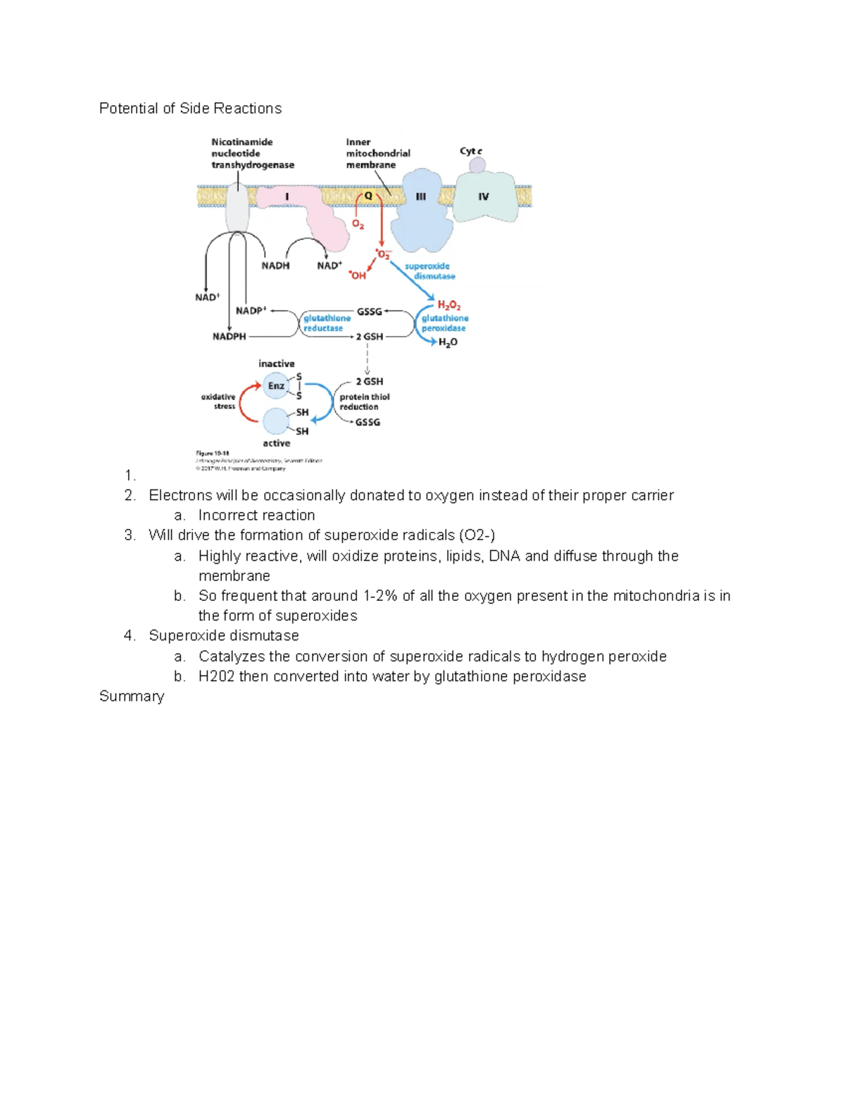 L28C - Lecture notes 28C - BIO 361 - SBU - Studocu