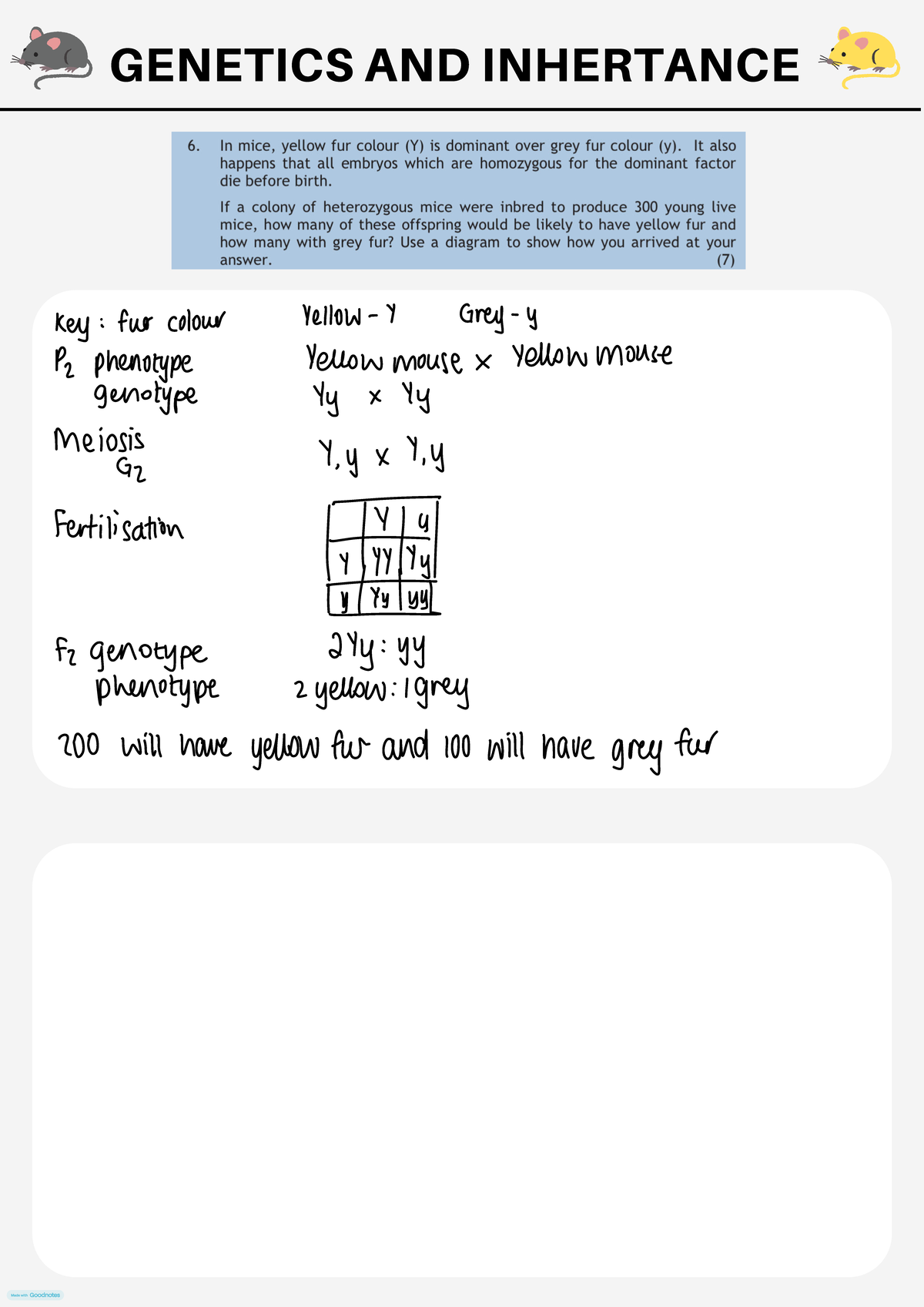 Biology - None - key : fur colour Yellow -Y Grey y P2 Phenotype Yellow ...