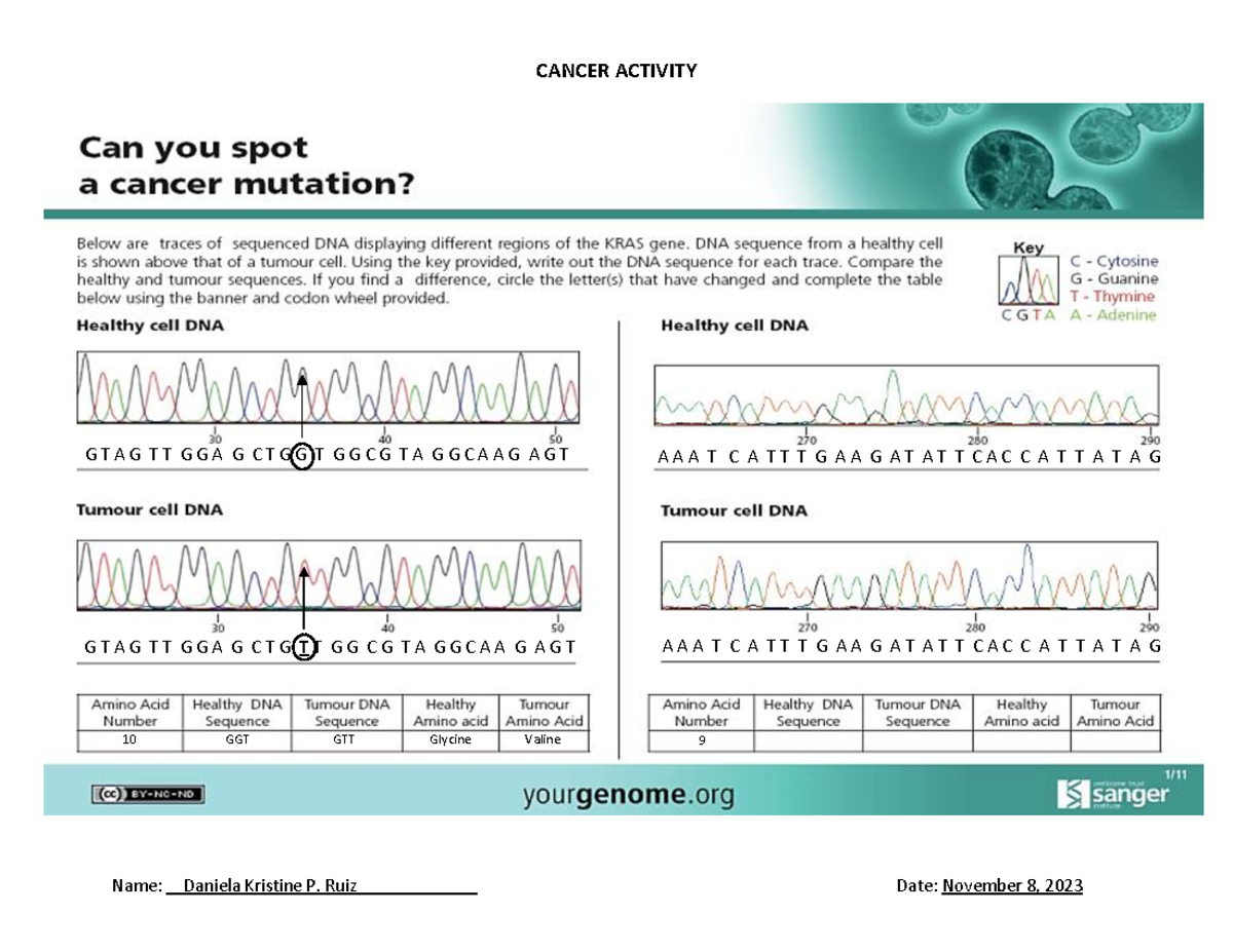 Biochem Cancer Activity - Biochemistry - CANCER ACTIVITY Name: Daniela ...
