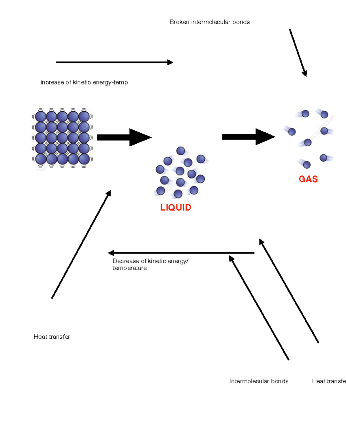 1.02 phase changes - n/a - increase of kinetic energy-temp LIQUID GAS ...