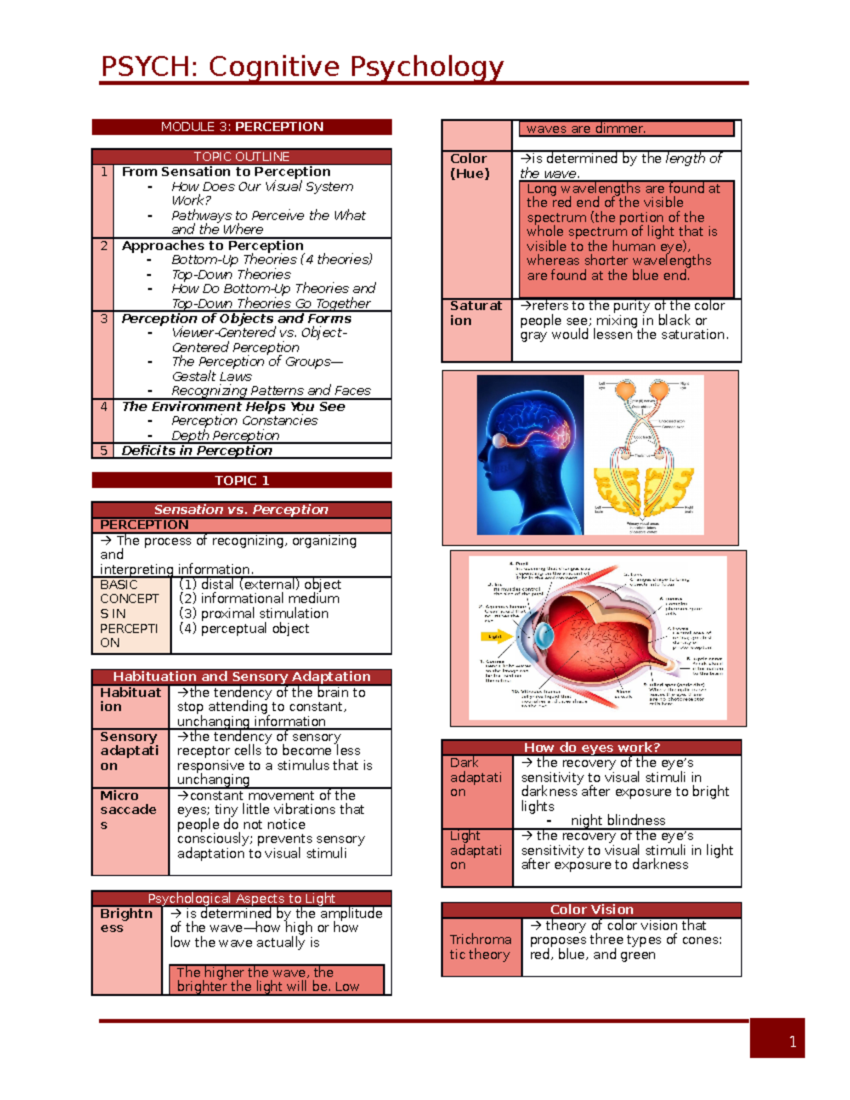 Chap 3 cog psy : Sensation and Perception - MODULE 3: PERCEPTION TOPIC OUTLINE 1 From Sensation ...