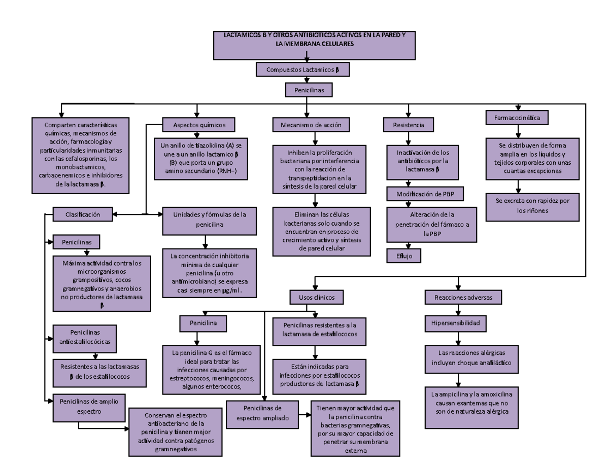 Mapa conc. betalactamicos - Farmacología - UMSS - Studocu