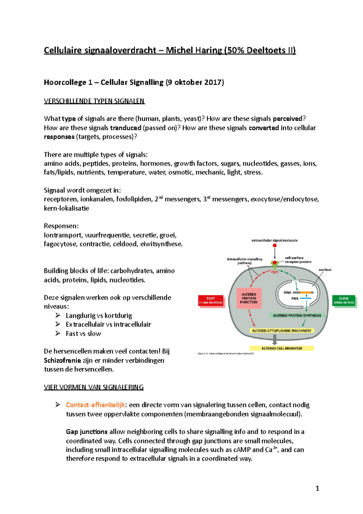 Signaaloverdracht (Haring) - Cell ulaire signaaloverdracht – Michel ...