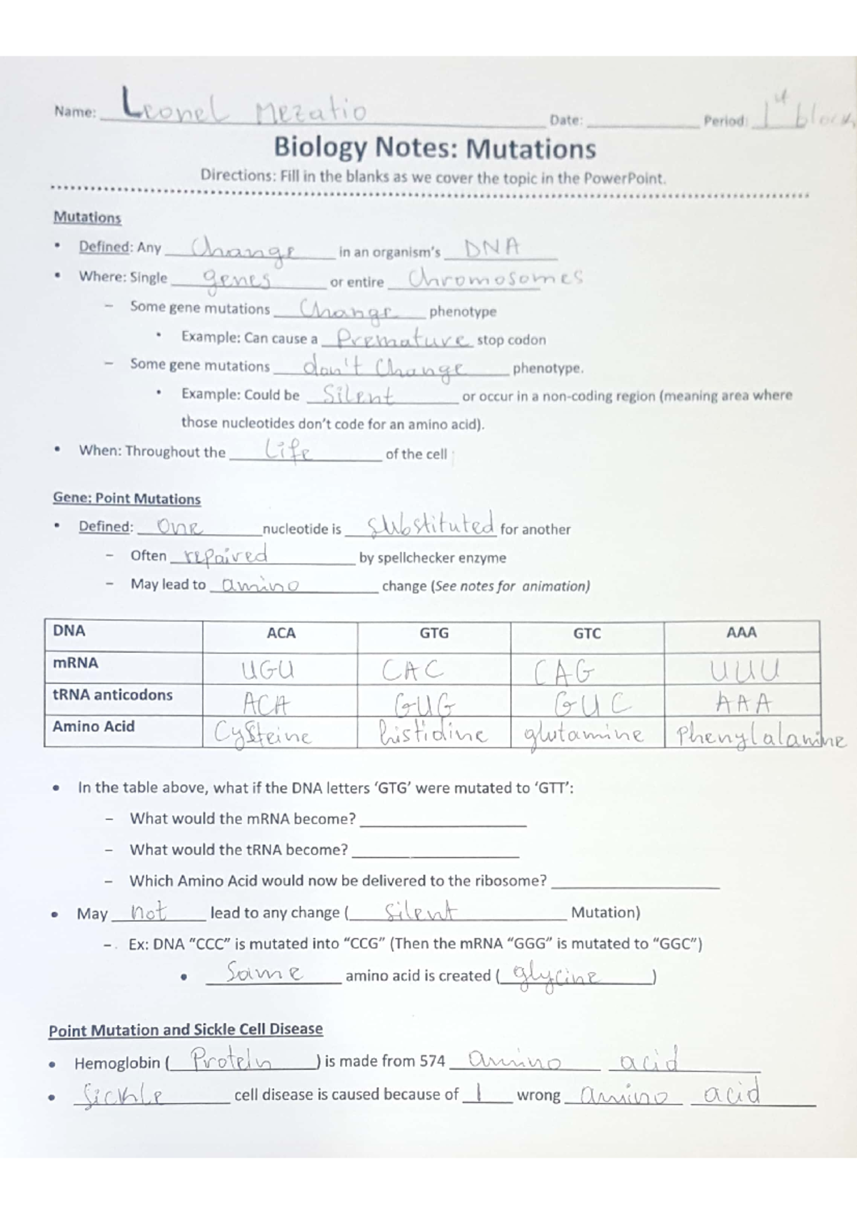 BIO 280 - Biology Notes - Mutations, Point mutation and Sickle Cell ...