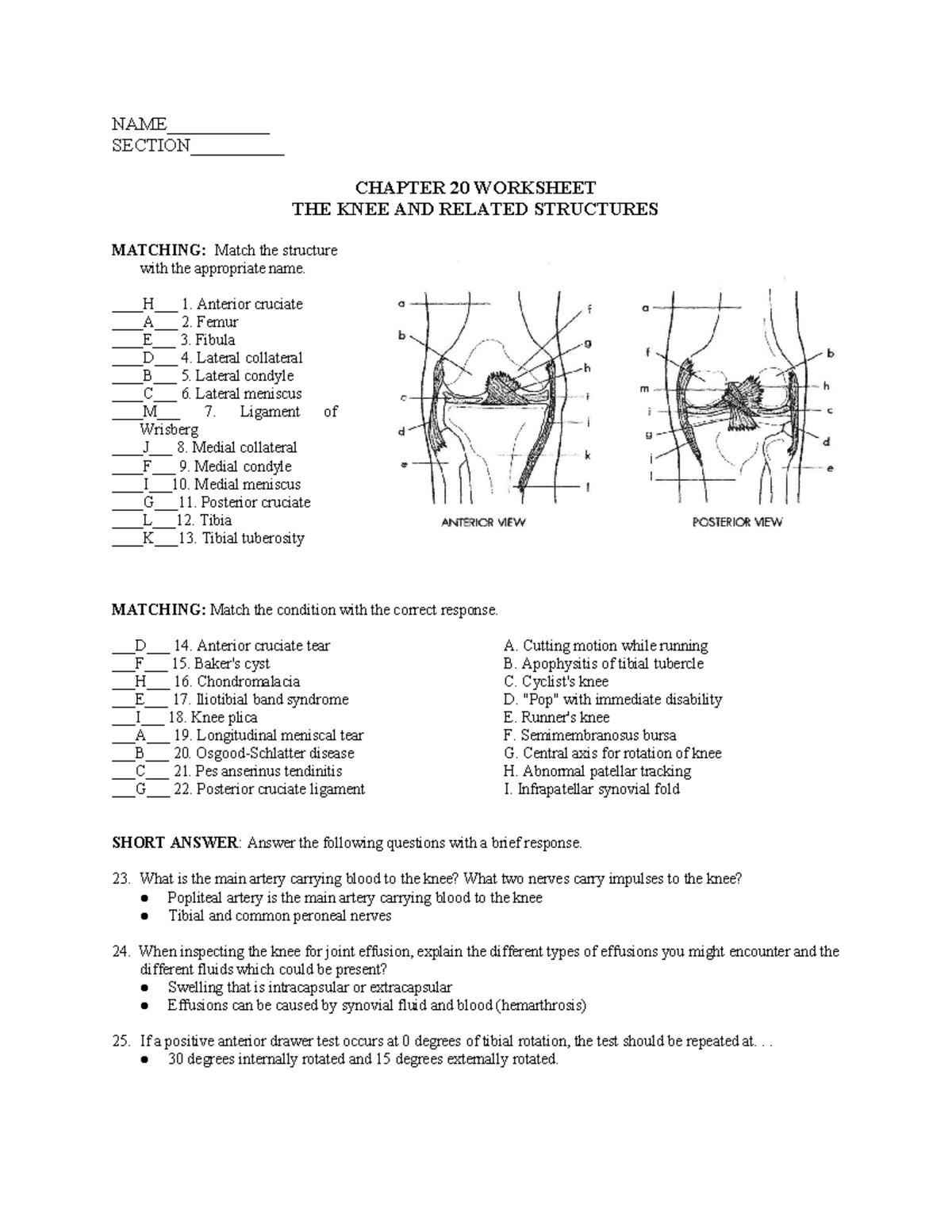 Chapter 20 Worksheet - NAME___________ SECTION__________ CHAPTER 20 ...