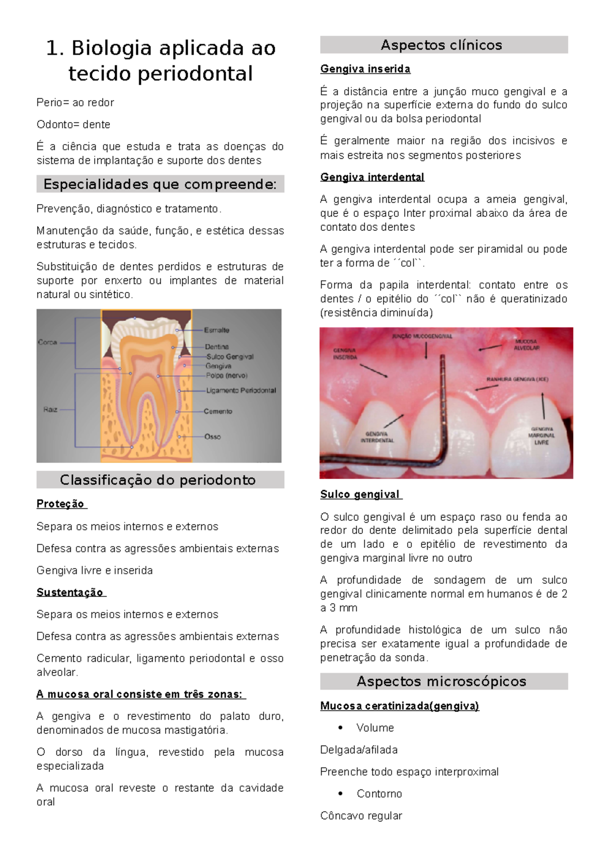 Periodontia - anotações de aula - 1. Biologia aplicada ao tecido ...
