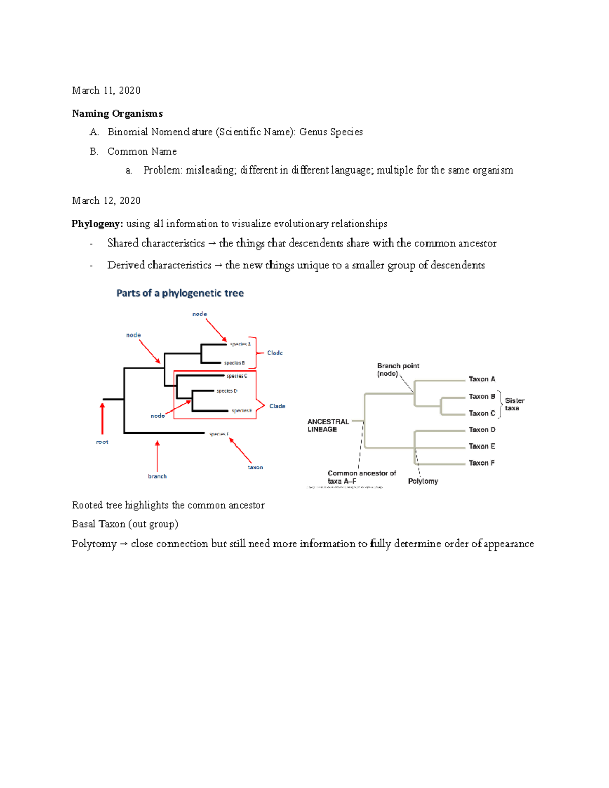 AP Bio Notes 9 (chapters ) - March 11, 2020 Naming Organisms A ...