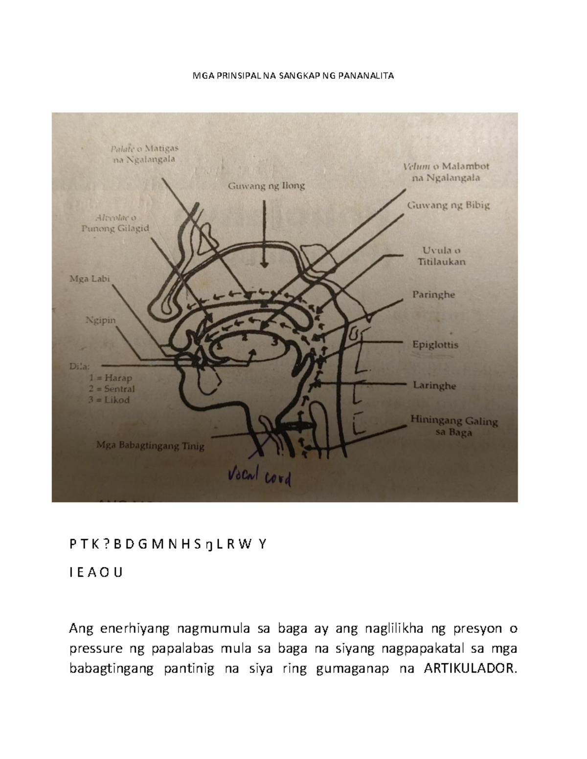 Ponolohiya - Filipino reviewer - MGA PRINSIPAL NA SANGKAP NG PANANALITA P T K? B D G M N H S ŋ L ...