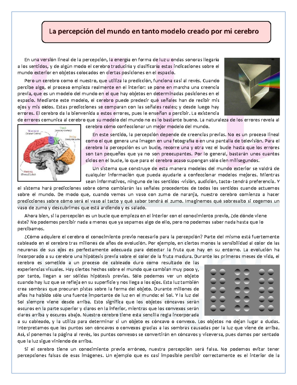 TEMA 1. La percepción del mundo en tanto modelo creado por mi cerebro ...